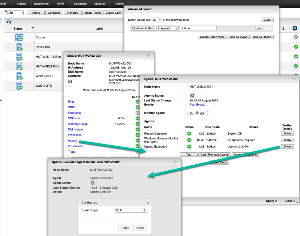 Newsletter Summer 2024